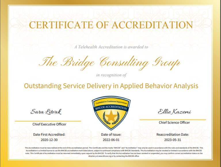 The Bridge Consulting Group LLC - Durham, NC | 984-244-8642